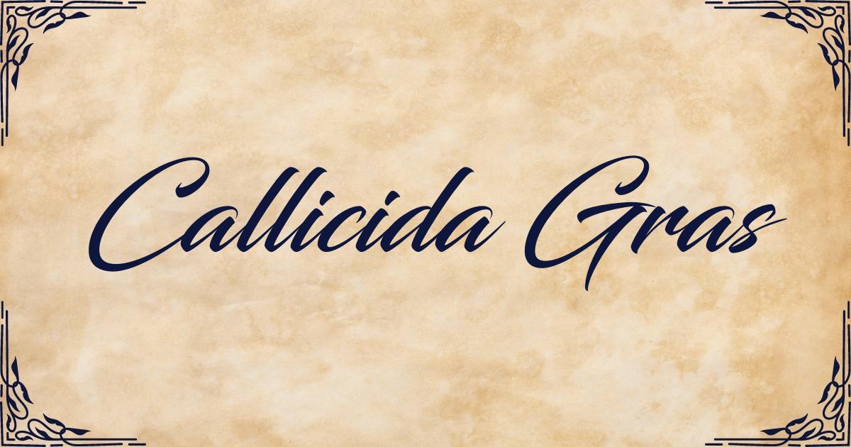 Callicida Gras: Información Completa sobre Contraindicaciones, Para Qué ...